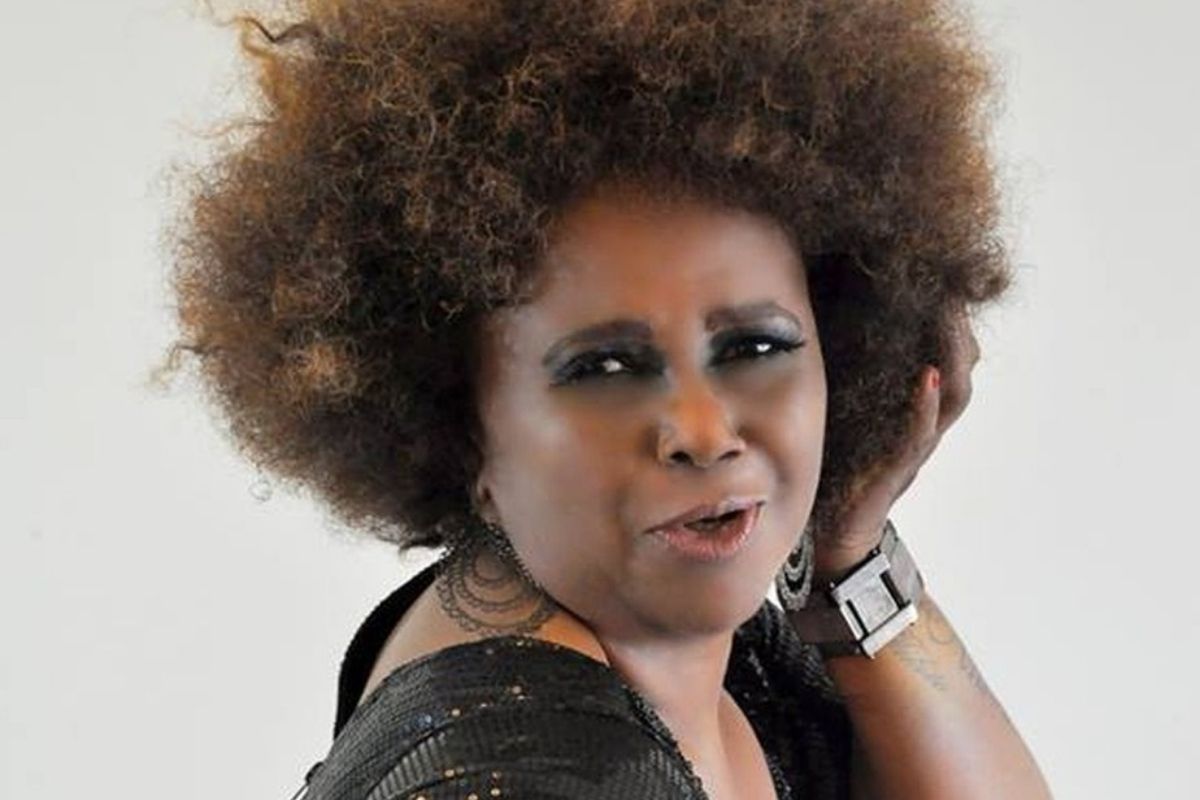 Sandra de Sá: os diversos gêneros musicais nas obras da artista