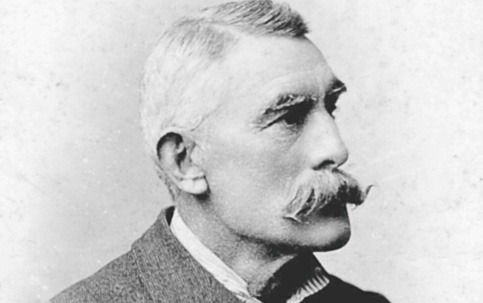 Seringueira: "Ouro" da região amazônica que foi roubada em 1876