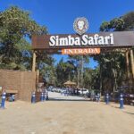 ZooSP relança Simba Safari com tour guiado e promoções especiais ...